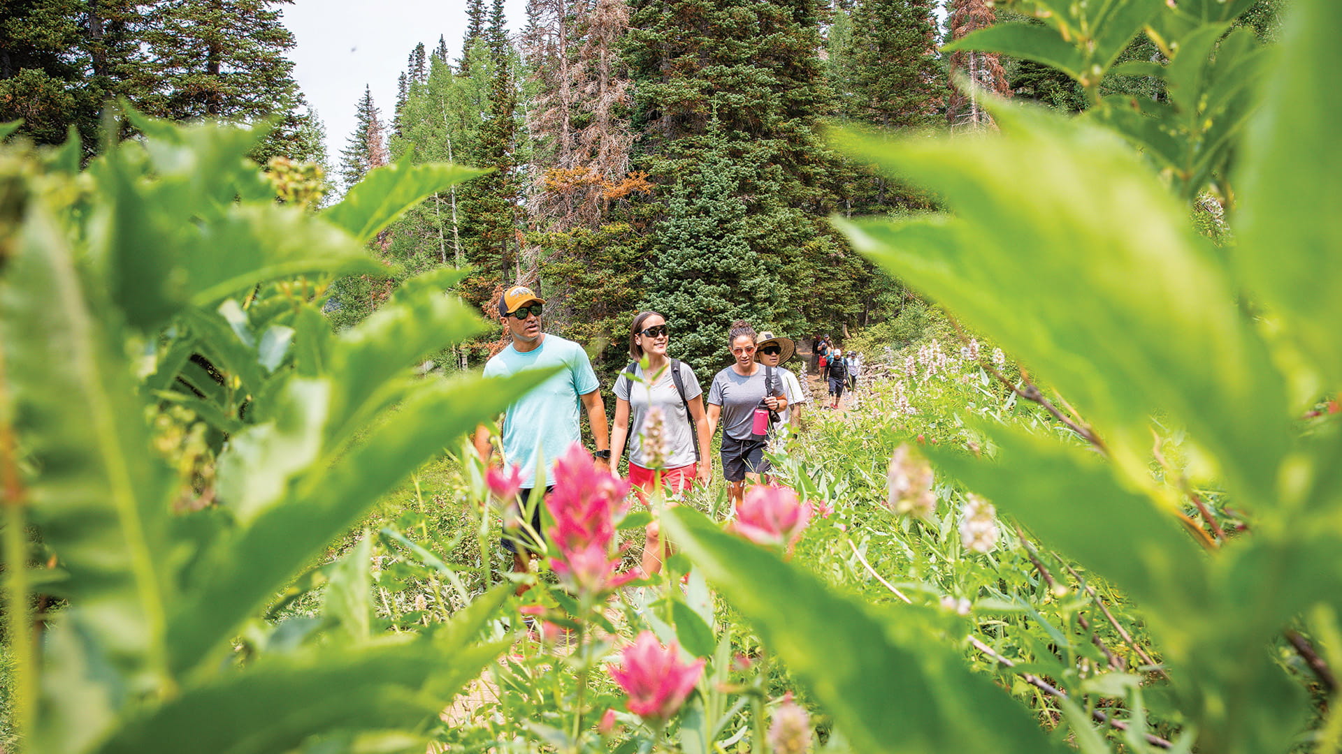 Best Hikes Near Salt Lake City | Solitude Mountain Resort